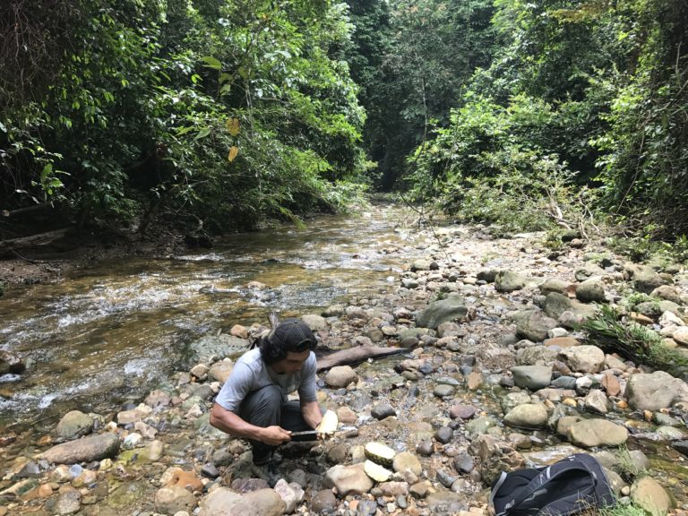 Tangkahan: The Epic Guide to Jungle Paradise 2023