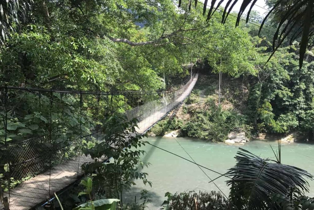 Tangkahan: The Epic Guide to Jungle Paradise 2023