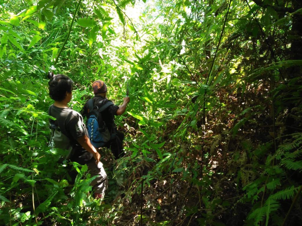 Batu Katak: The Epic Guide to North Sumatra's Hidden Gem 2026