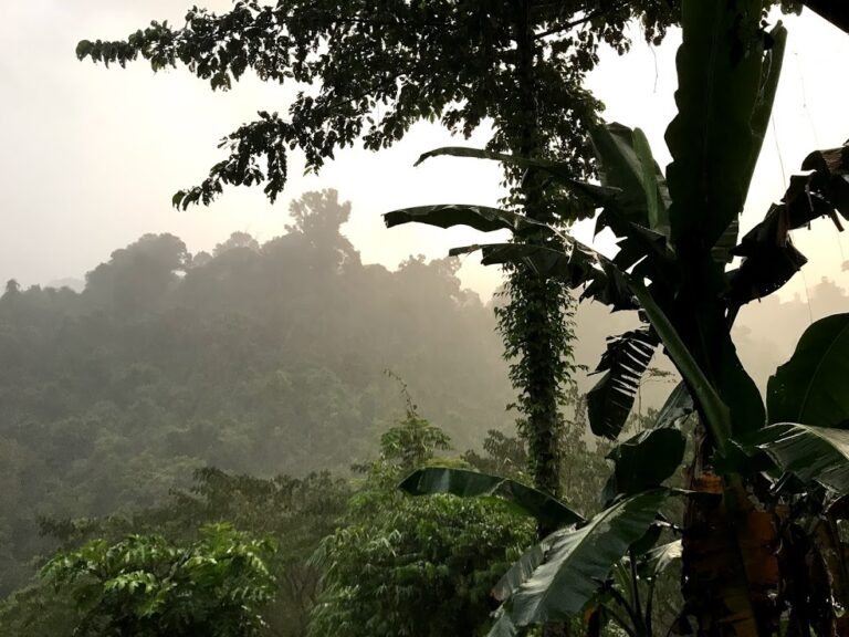 Best Time to Visit Sumatra Indonesia - Your In-depth Guide!