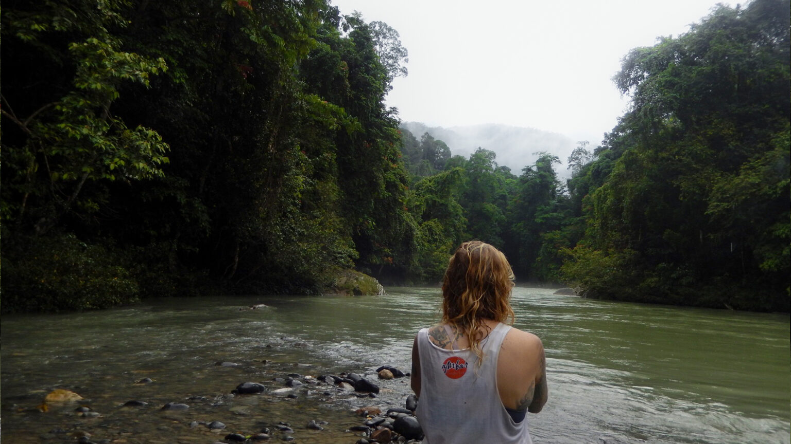 Tangkahan: The Epic Guide to Jungle Paradise 2023