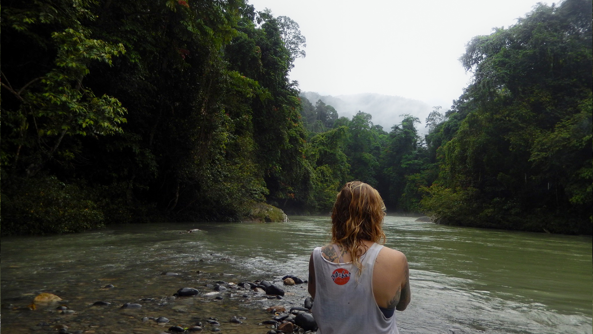 Tangkahan: The Epic Guide to Jungle Paradise 2023