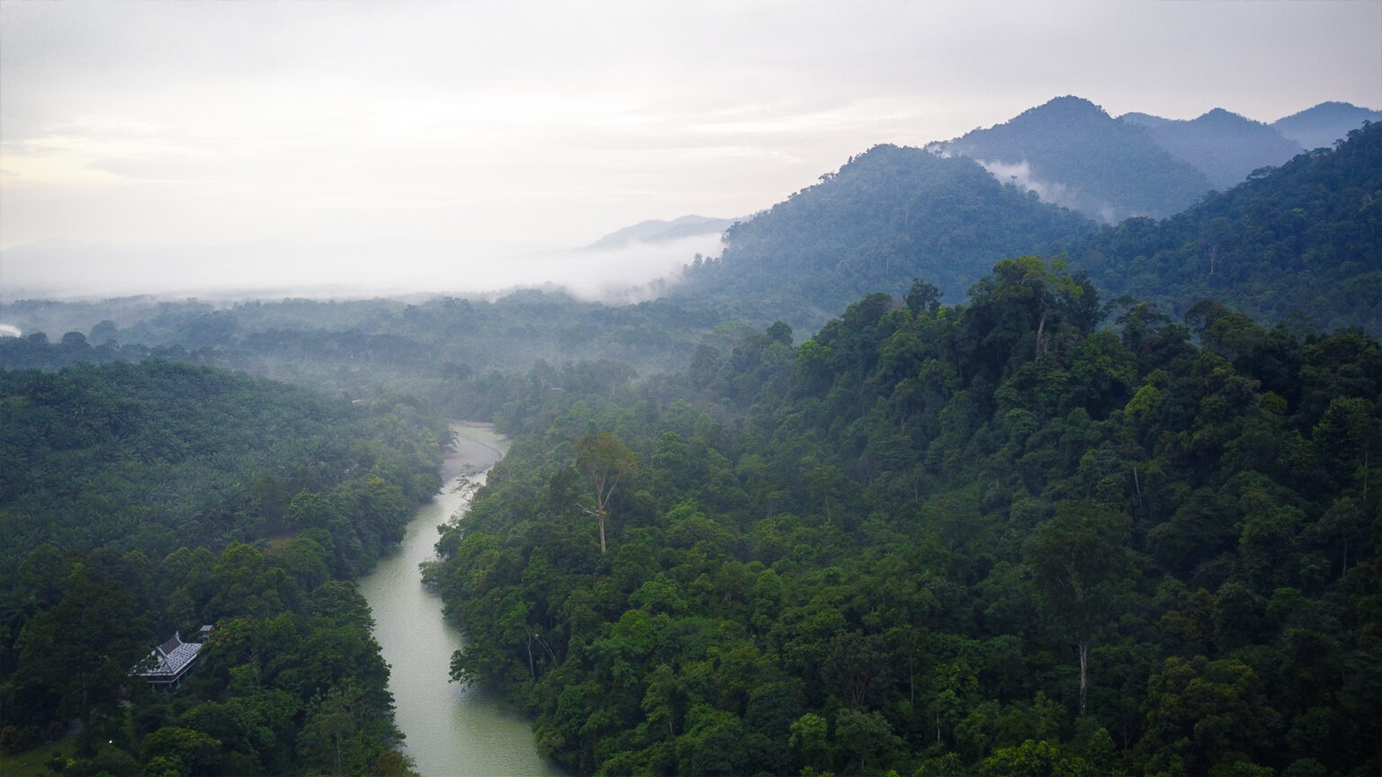 Tangkahan: The Epic Guide to Jungle Paradise 2023
