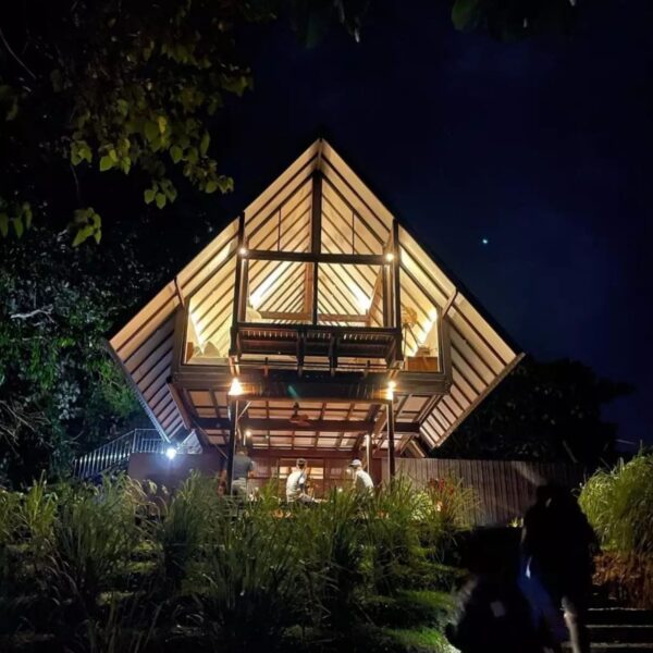 Tangkahan: The Epic Guide to Jungle Paradise 2023