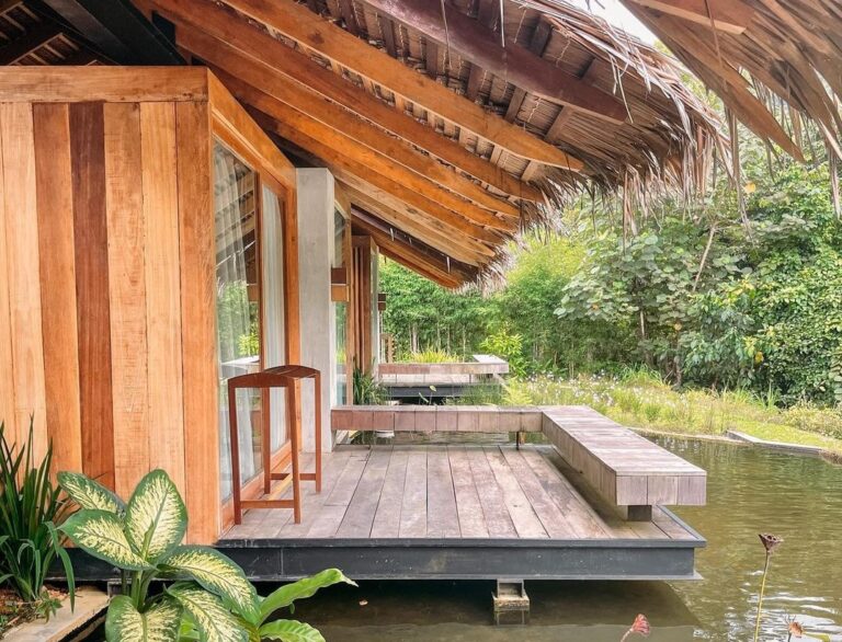 Tangkahan: The Epic Guide to Jungle Paradise 2023