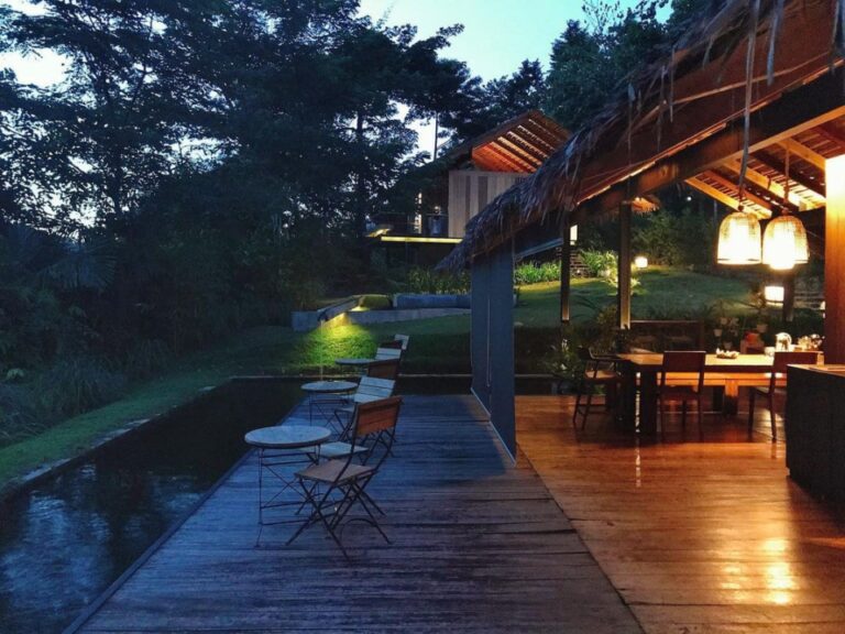 Tangkahan: The Epic Guide to Jungle Paradise 2023