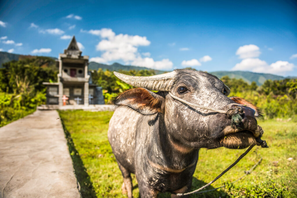North Sumatra Travel Guide: Best Places to Visit, Tips & Itineraries