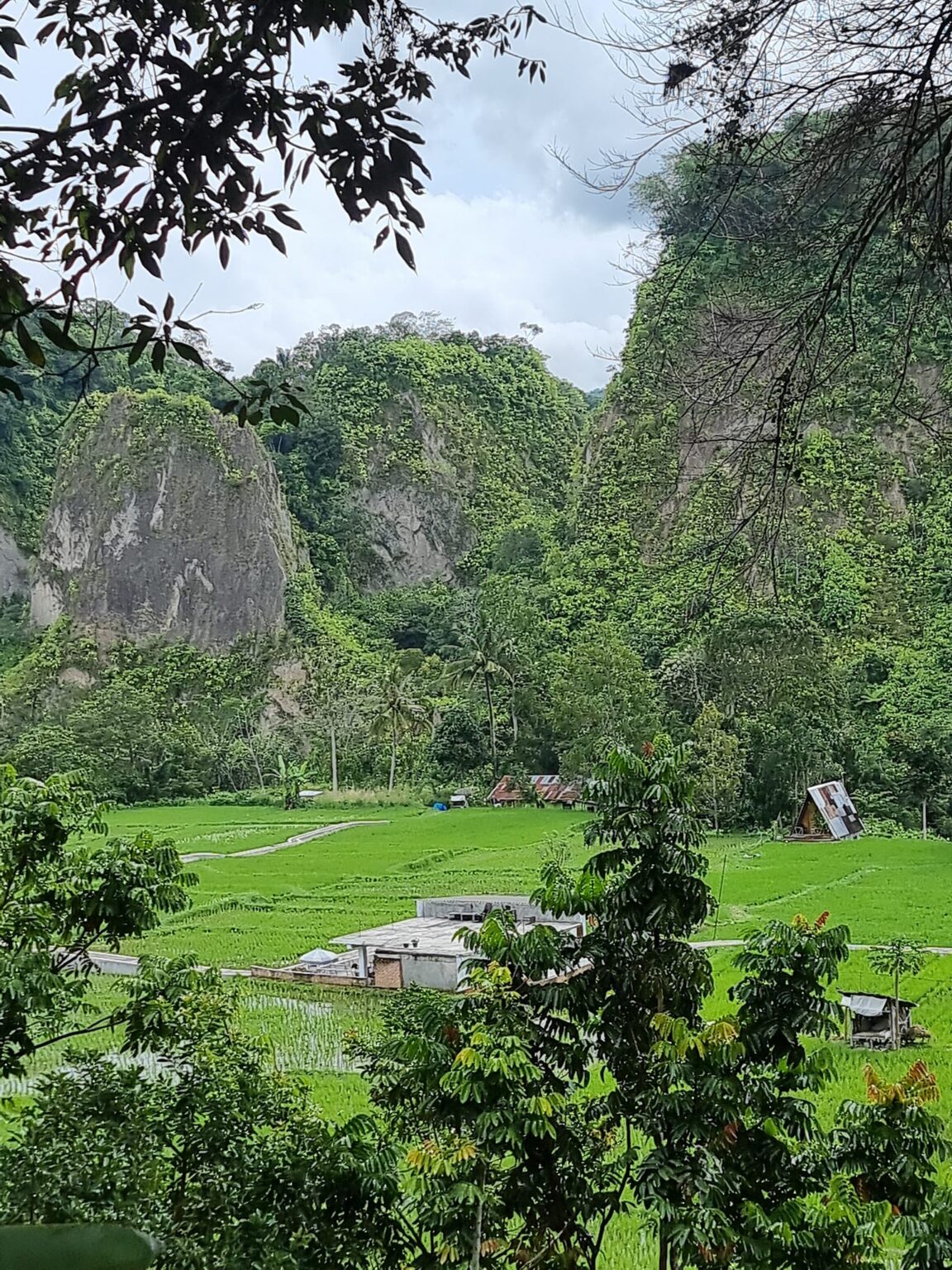 Harau Valley - The Insider's Travel Guide